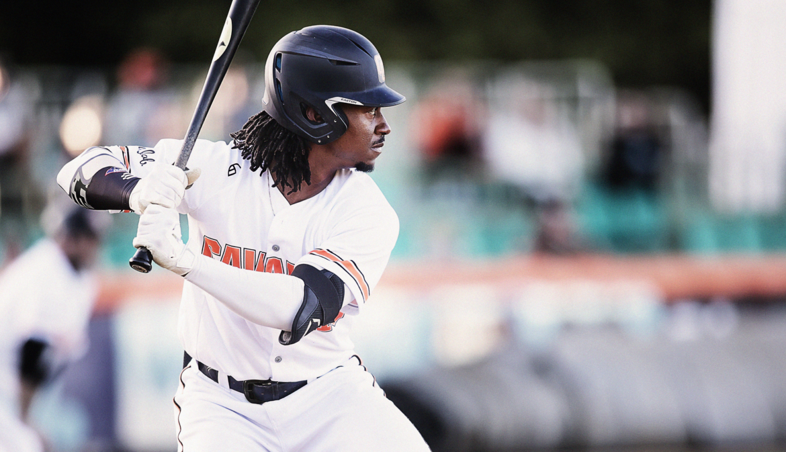 Canberra Cavalry | Inklab